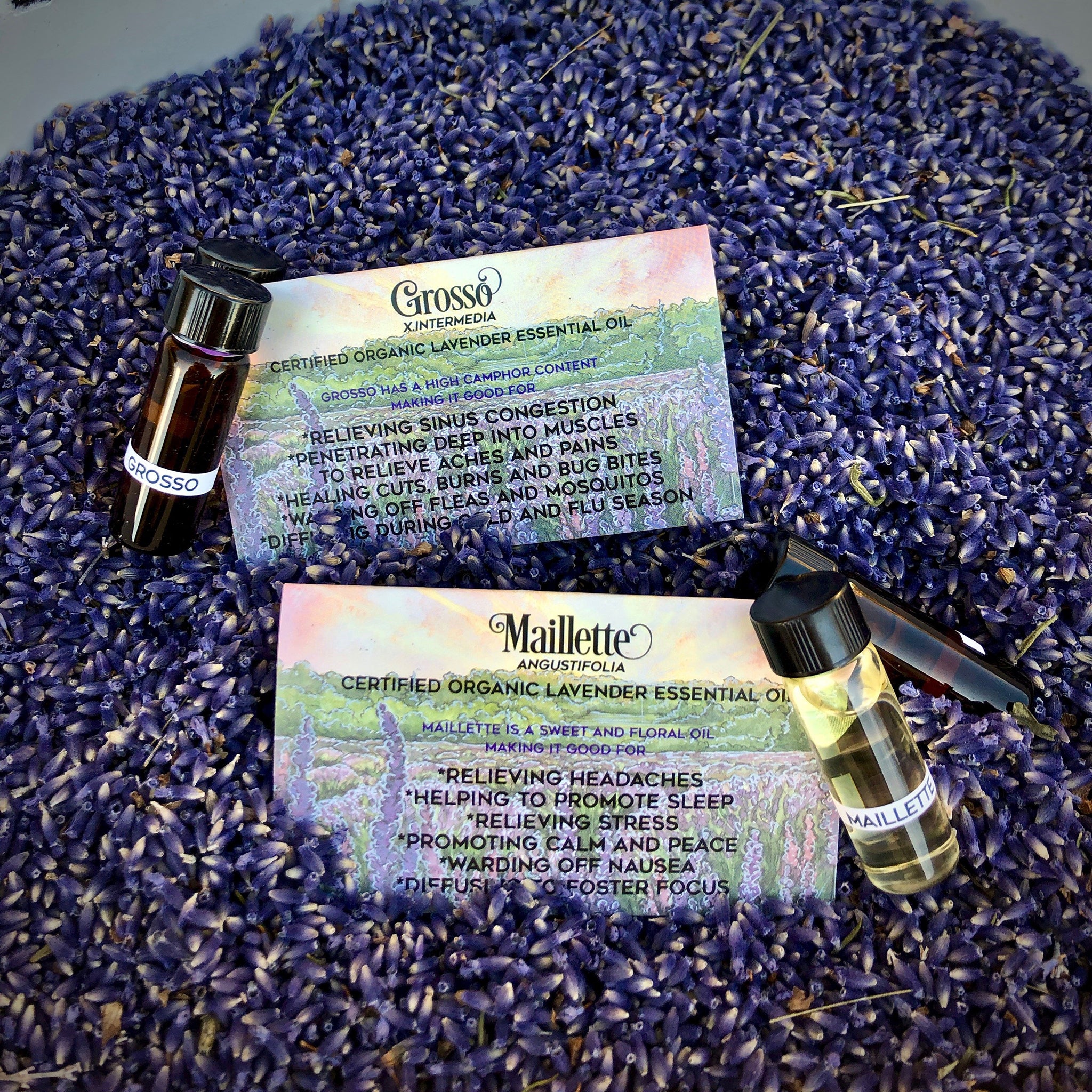 Certified Organic Oil Card with Two Lavender Essential Oils